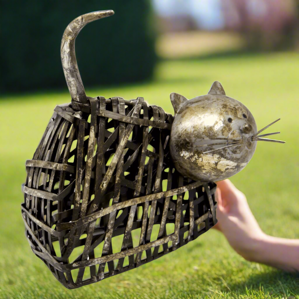 by Fabulous Felines