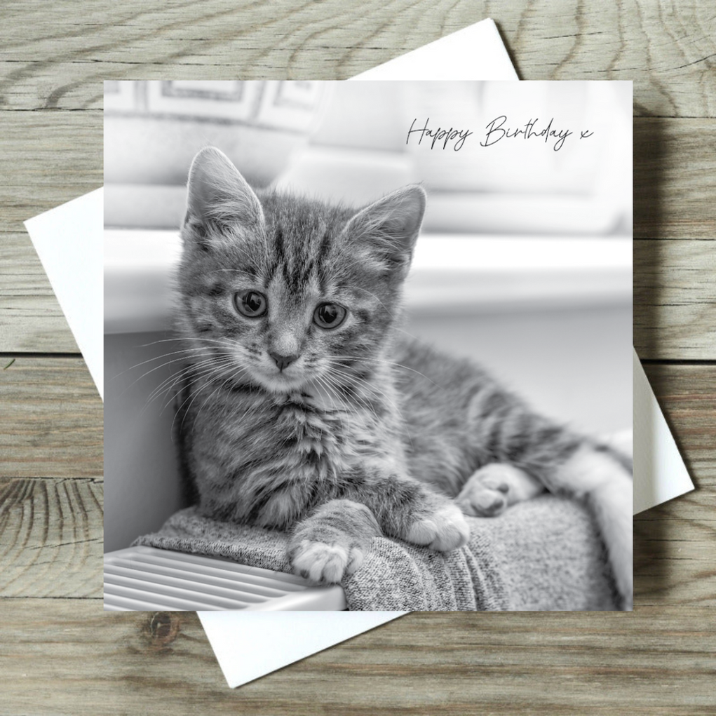 Black and White Photographic Kitten Birthday Card