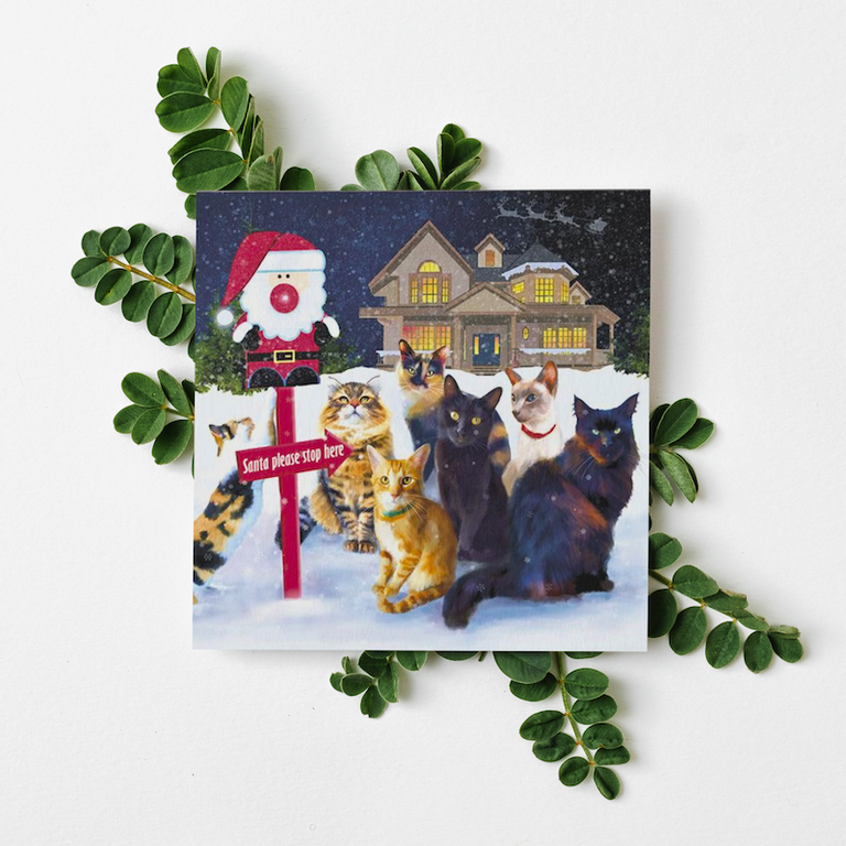 'This Way Santa' Christmas Cat Greeting Card