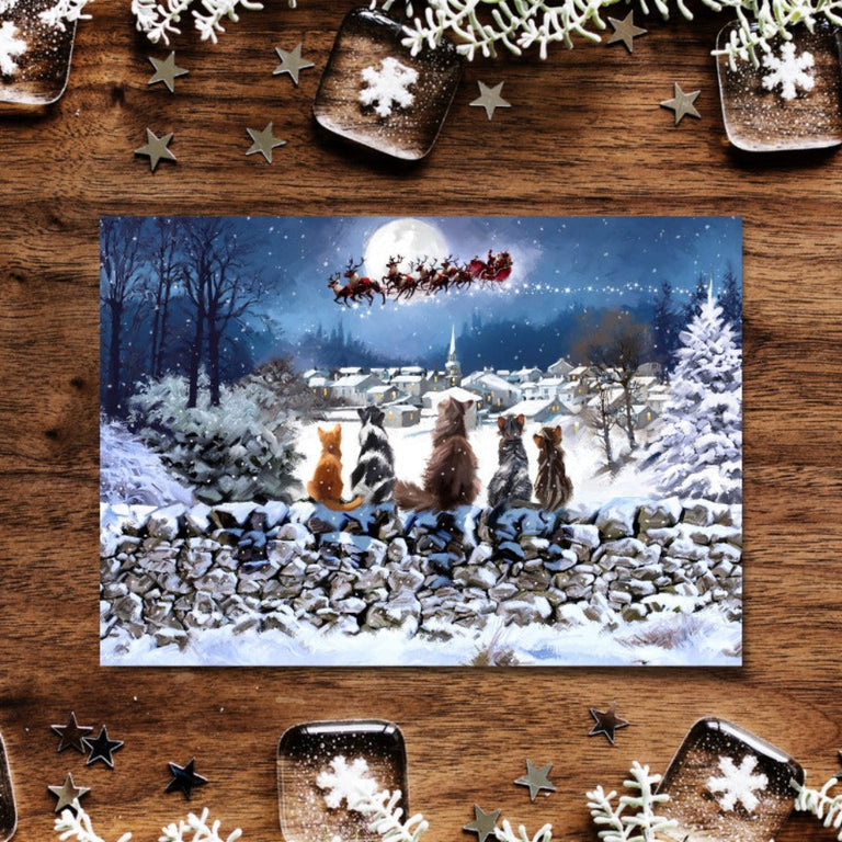 Set of 6 Richard Macneil Christmas Cats Christmas Card