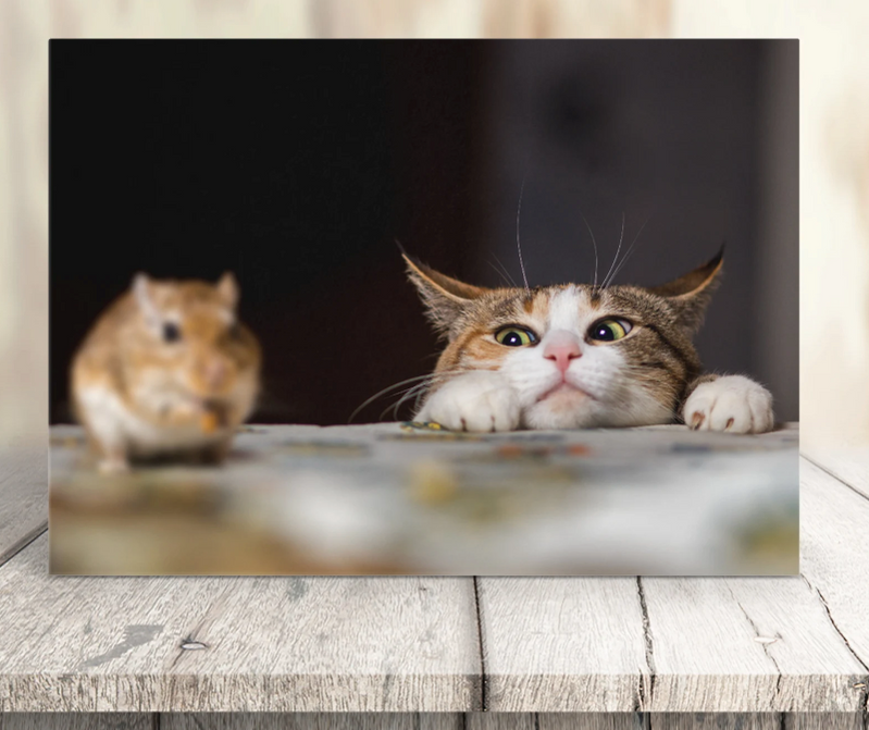 Peekaboo - Cute Cat & Mouse Greeting Card